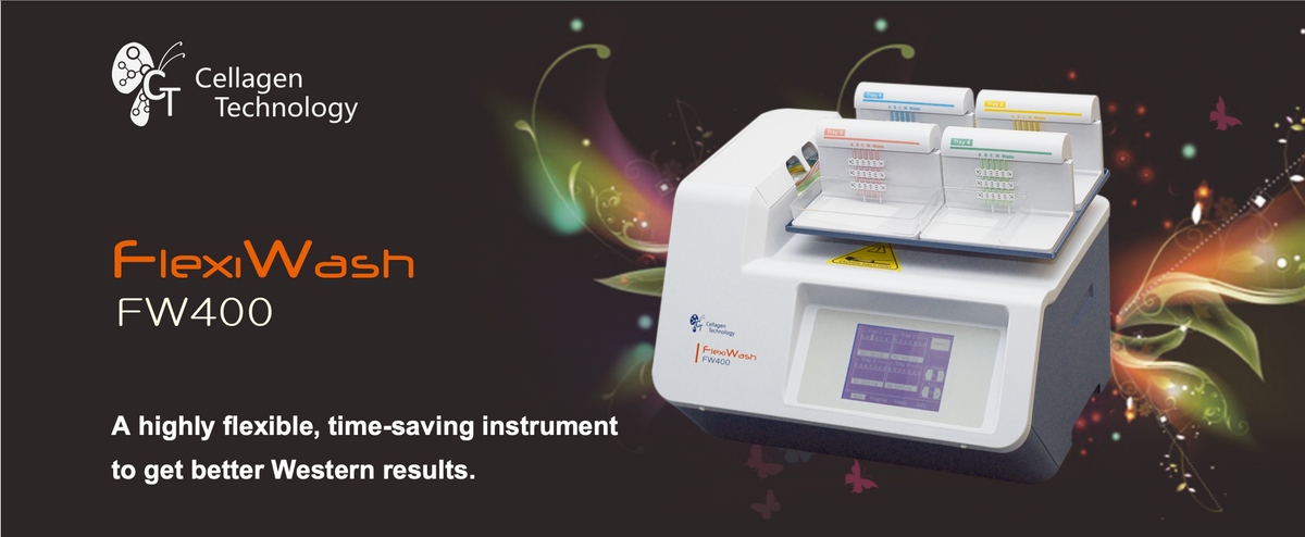 WB Membrane & Gel Automated Wash Station FlexiWash FW400 – Nodesus