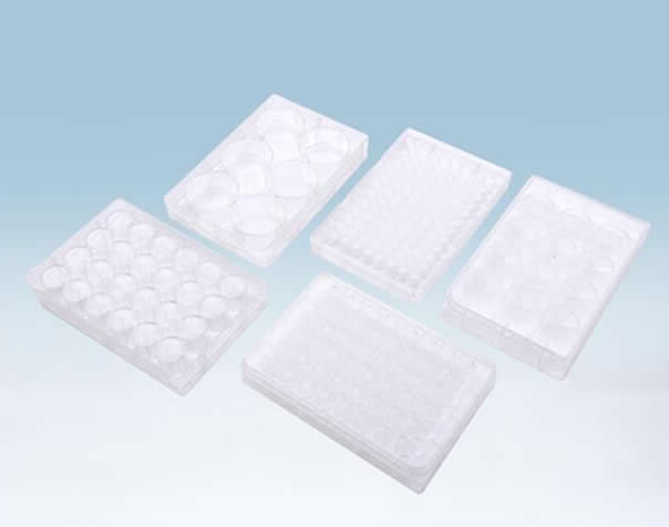 TCT Cell Culture Plate for Scientific Research Lot Sale - Nodesus